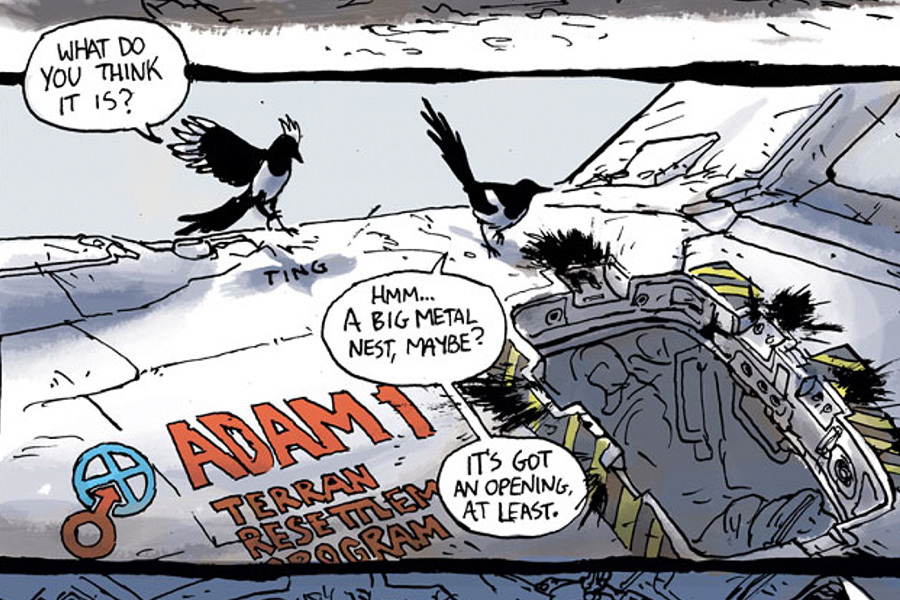 Adam 1|Speculative Identities